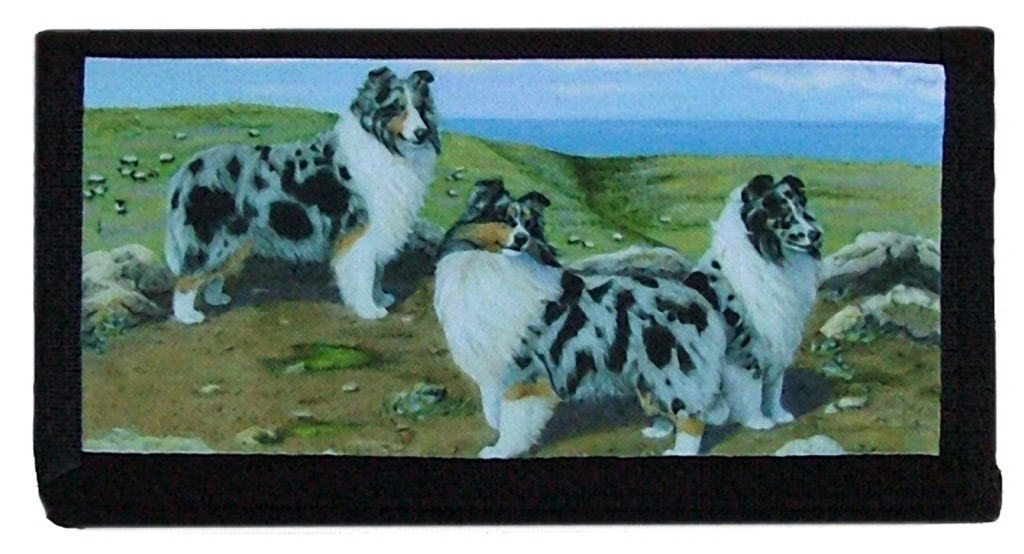 Sheltie Picture Checkbook 2 | Shetland Sheepdog Gifts